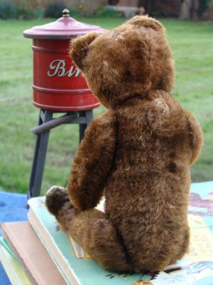 Bourton Bears - About this Bear