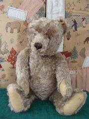 Buy Steiff Bears & more 1901 to 1919